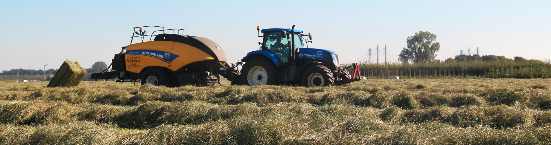 Gras für Heu und Silage: Hay Master